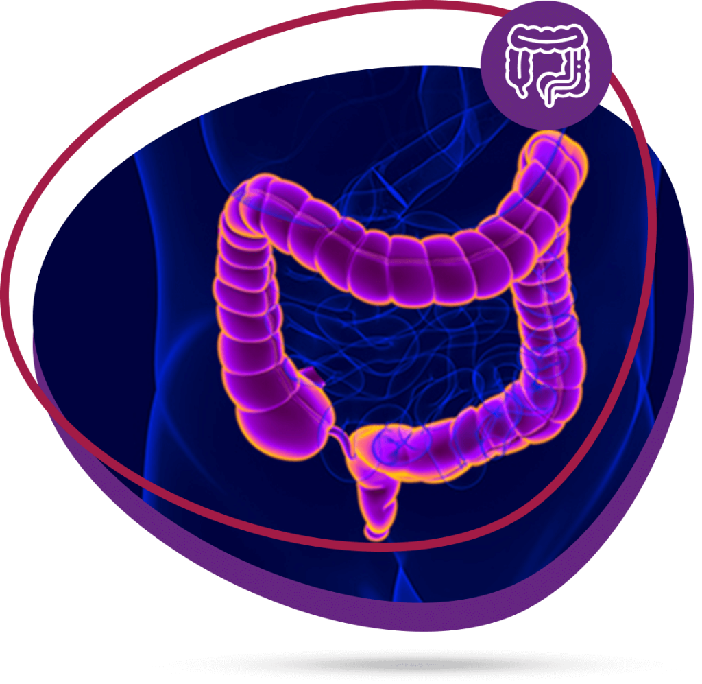 Centro de Gastroenterología HVQ - Hospital Vozandes